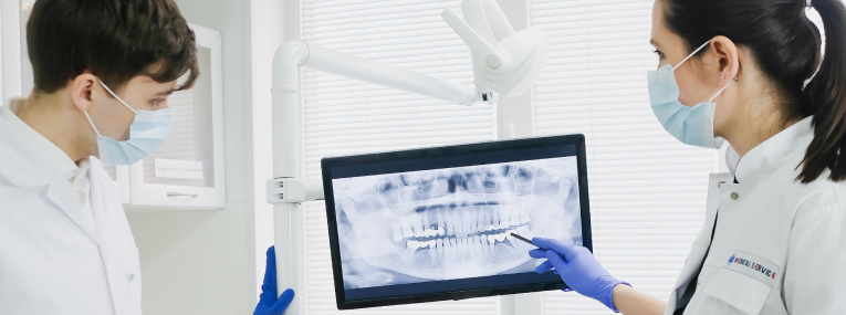 Der Backenzahn: Aufbau Durchbruch Funktion | dentolo